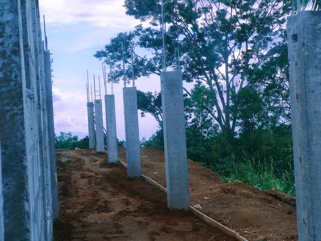 Costa Rica Rose: Headers!