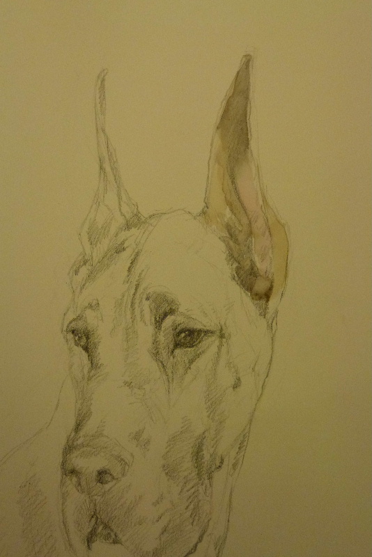 Maren Phillips: GOING PLACES