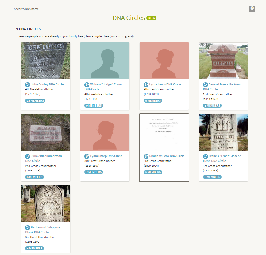 Climbing My Family Tree: My DNA Test Results Are In!