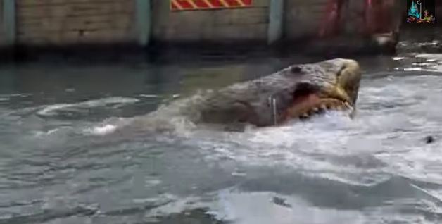 VIDEO: Universal Studios Orlando Jaws Ride HD POV (FULL RIDE)