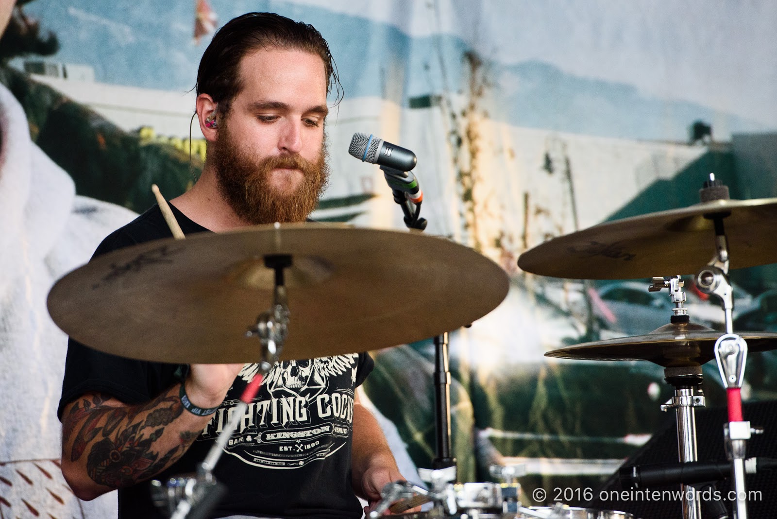 one in ten words: TURF 2016: Fort York Day 1: Modern Baseball - Concert ...