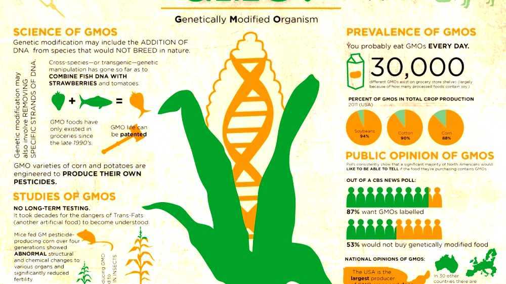 Genetically modified organism