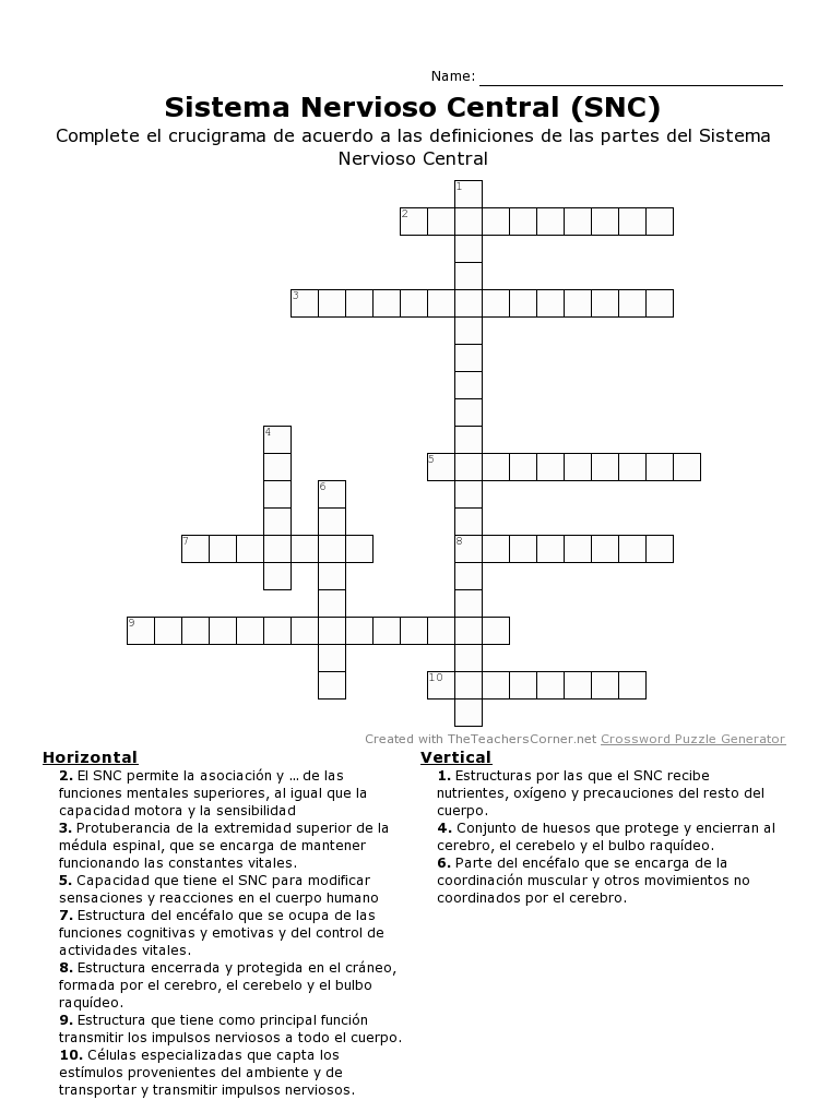 Sistema Nervioso Central (SNC)