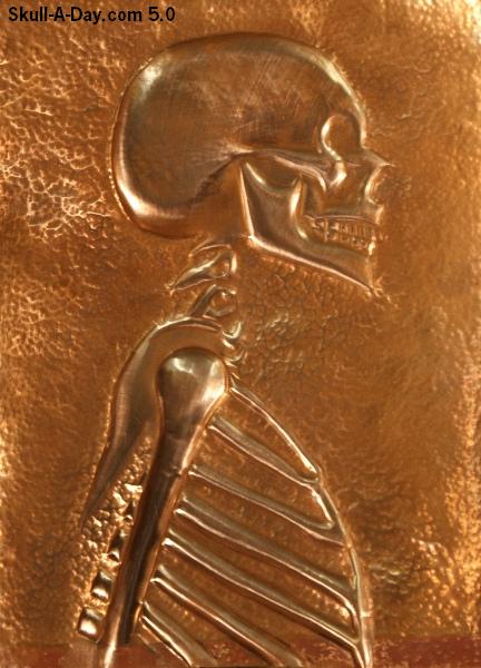 Copper Relief Skulls
