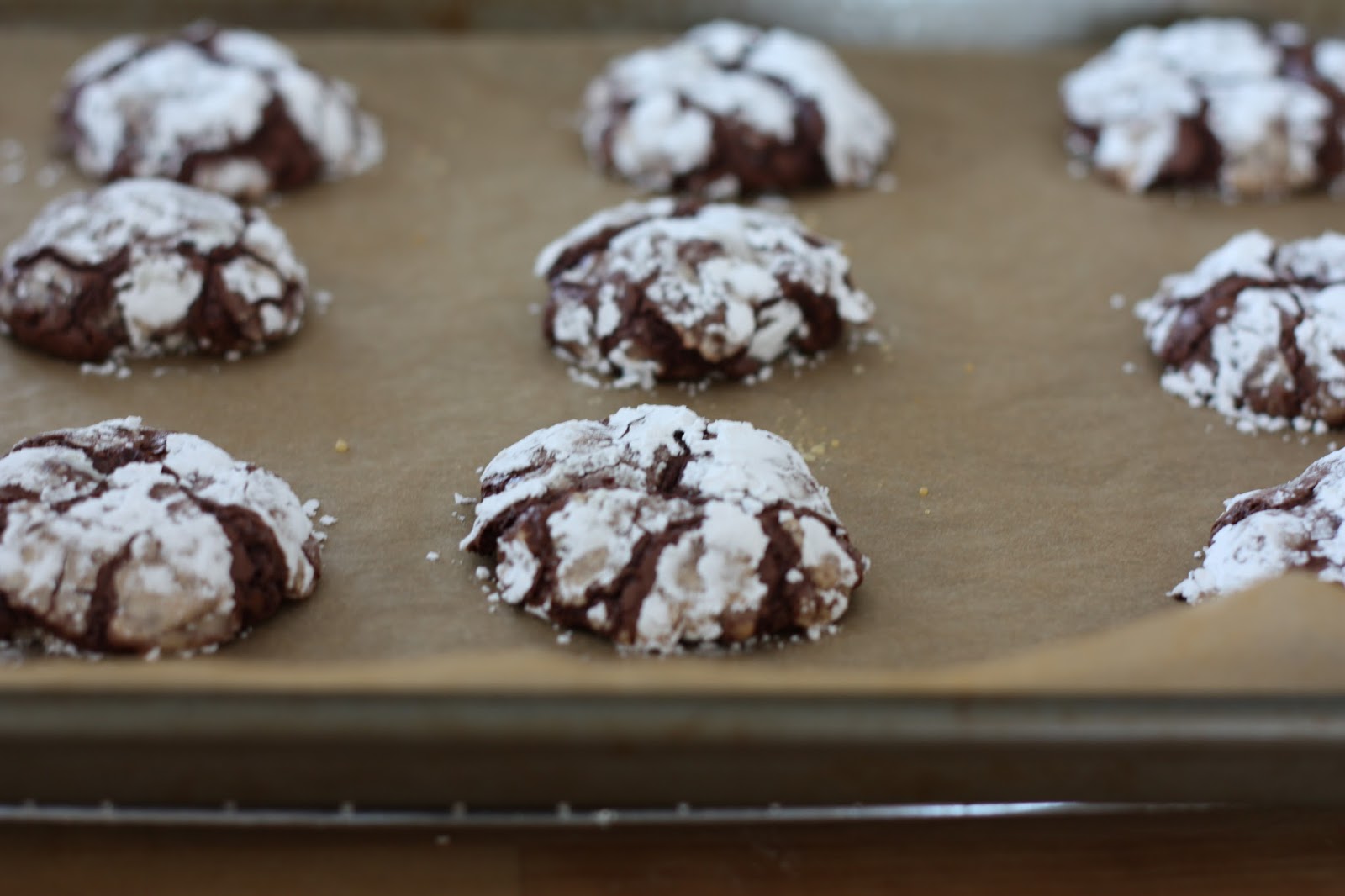 ben and birdy: Double-Chocolate Meringue Fudgies