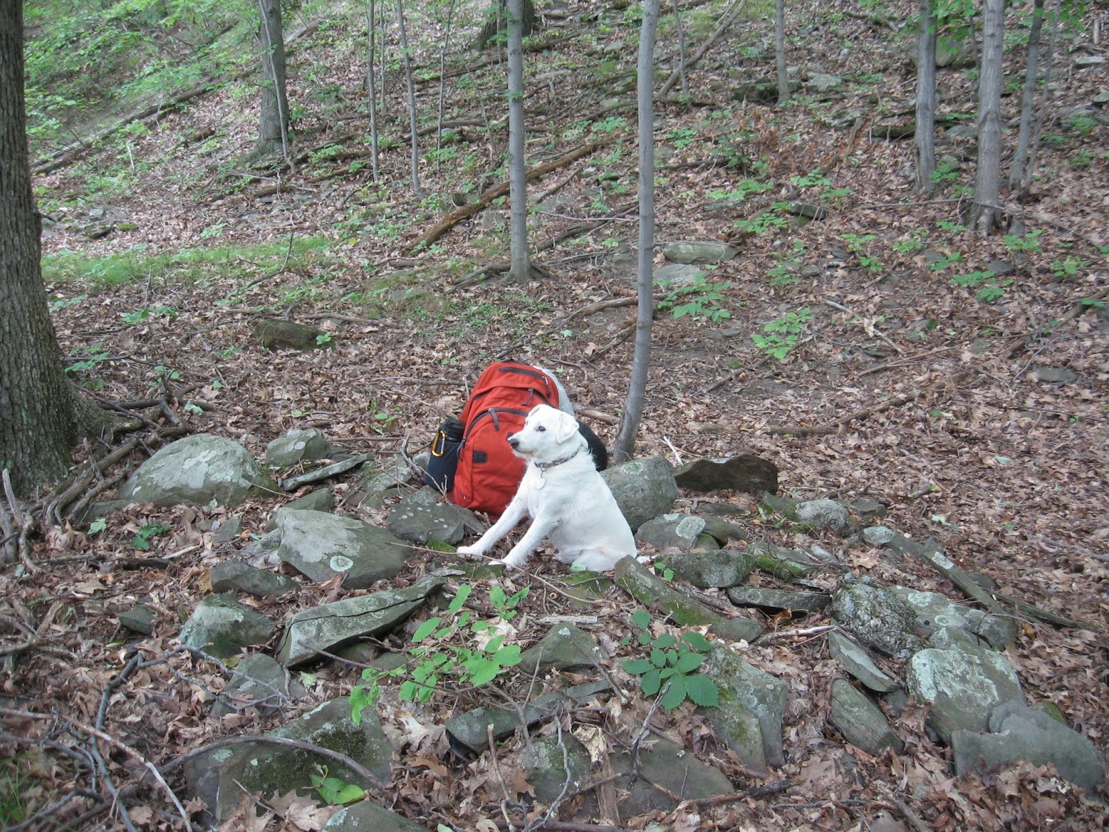 Mother Earth Prayers: Help Preserve the Stone Mounds at HIgh Tor NYS ...