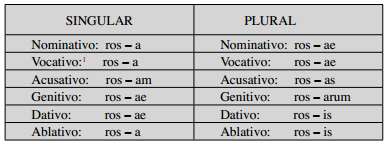 Primera Declinación ~ CLASES DE LATÍN