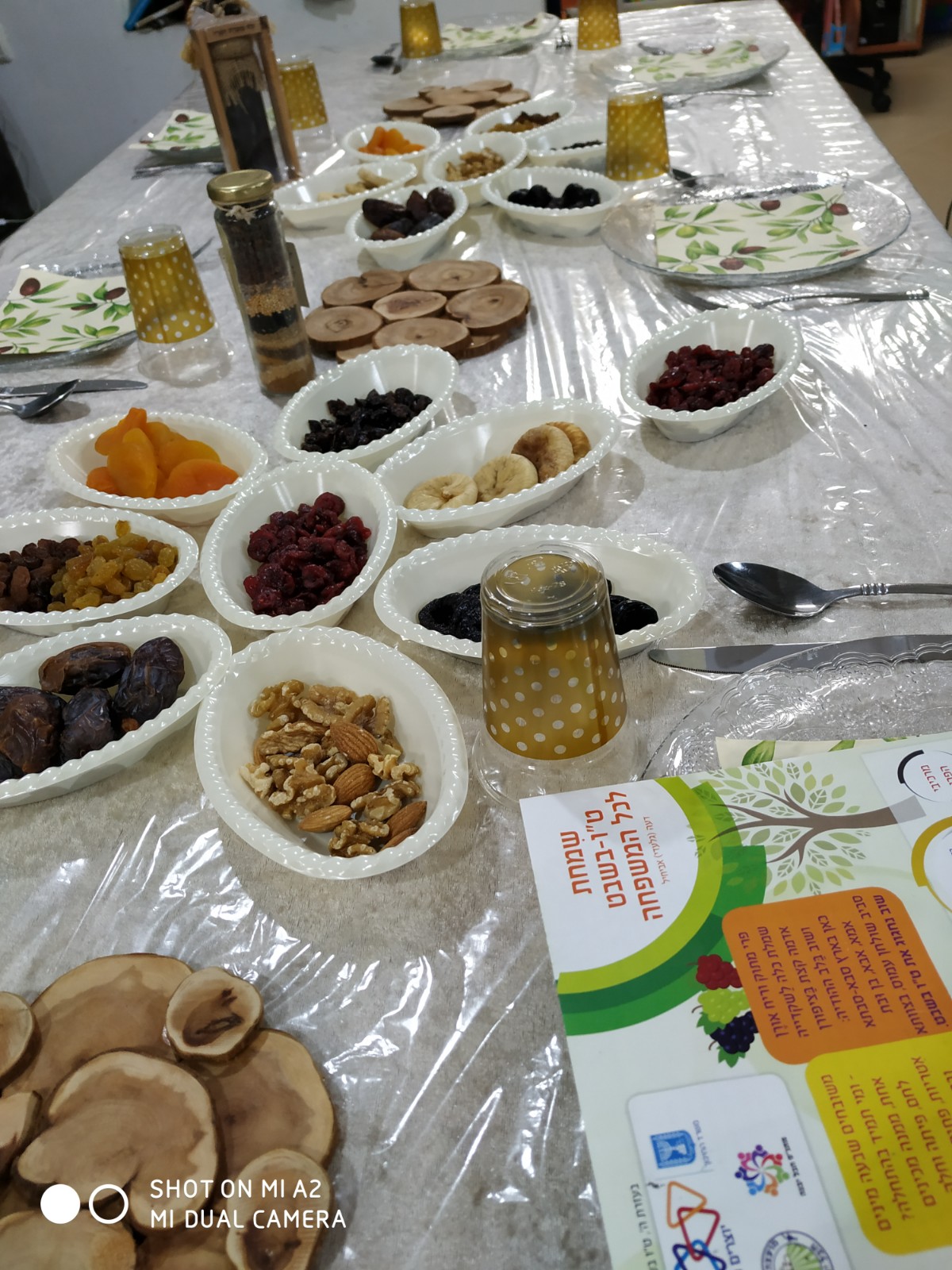 A Jewish Grandmother : Our TU B'Shvat Seder and Memories
