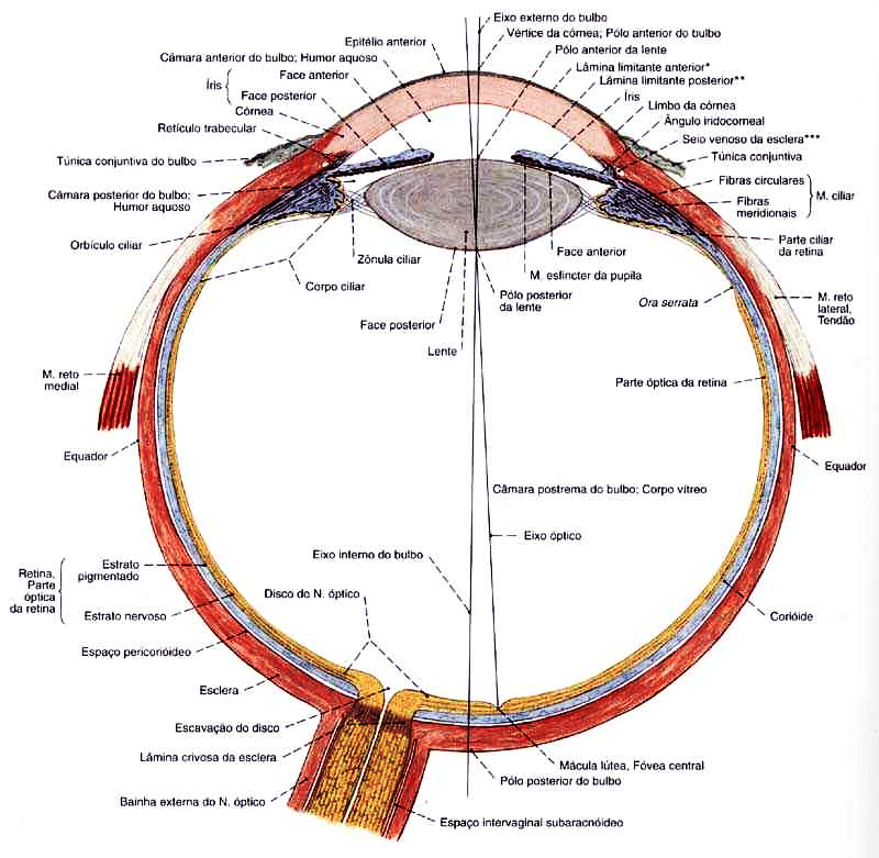Eye and Ear: Junho 2014