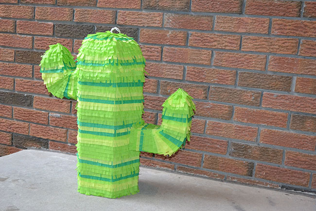 Snowdrop and Company: DIY Cactus Piñata