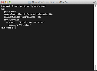 TESTHEAD: PRACTICUM: Selenium 2 Testing Tools Beginner's Guide ...