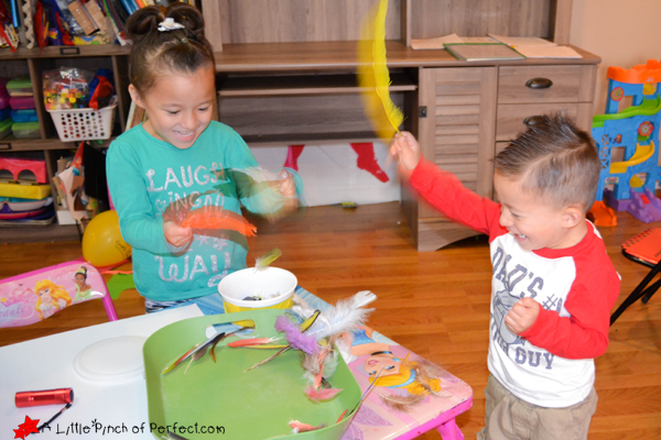 Learning About Bird Feathers: Explore, Color, and Label Free Printable ...
