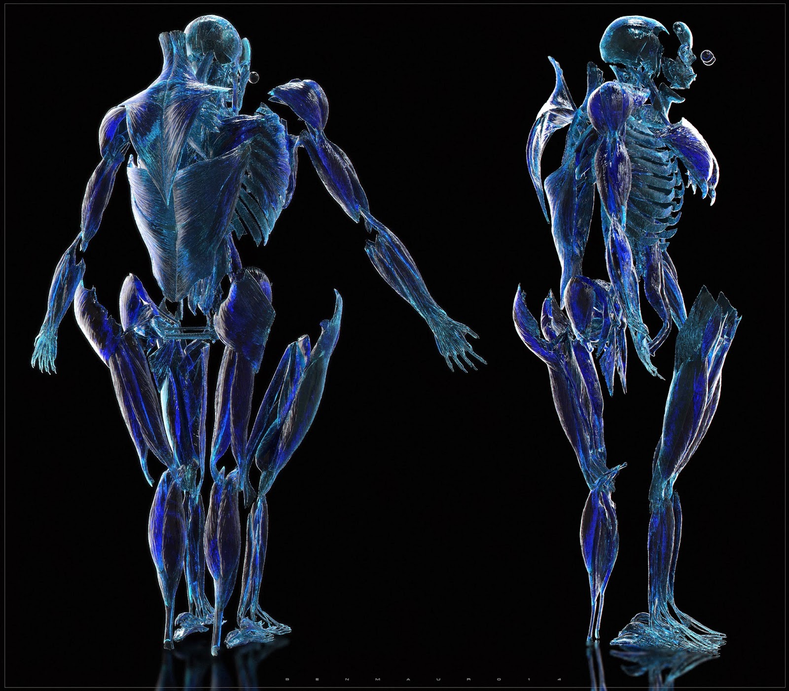 PERPETUAL MOTION: LYCON