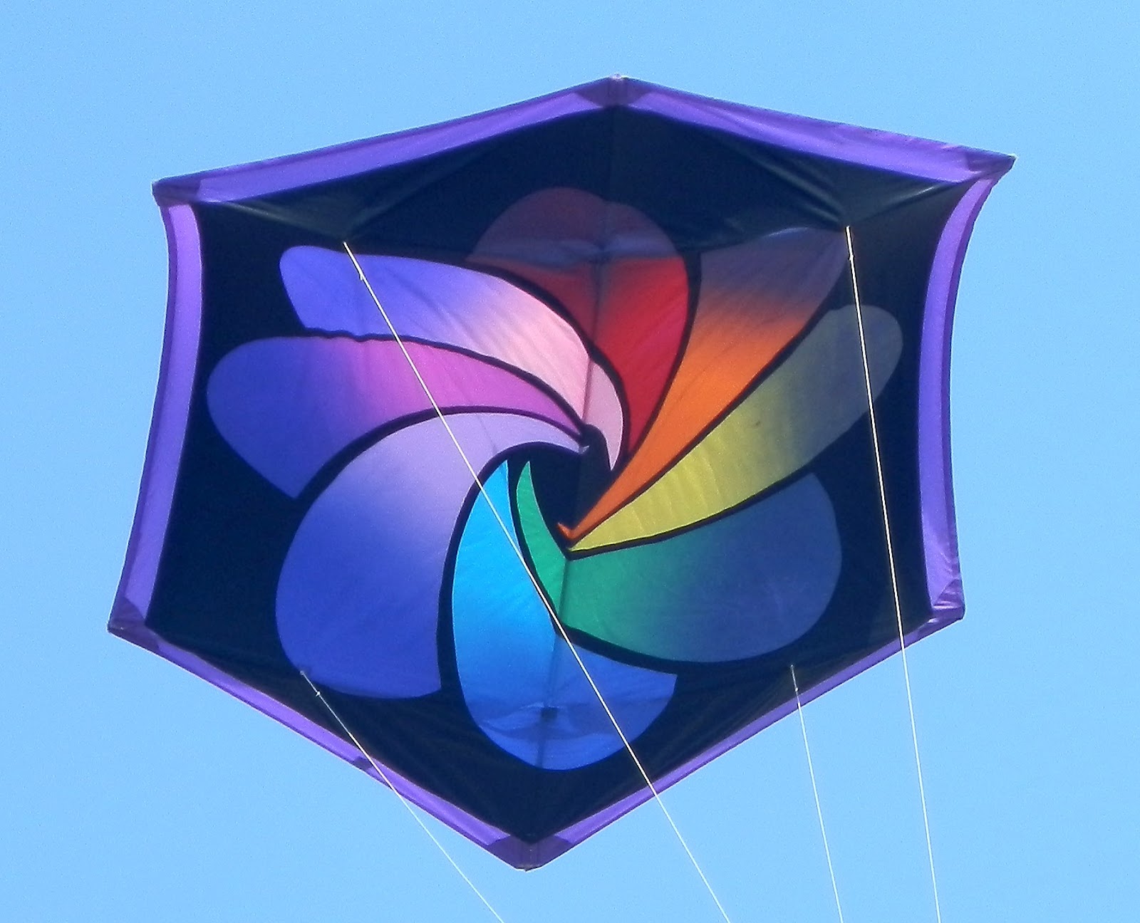 SPIroadrunneradventures: SPI KITE FESTIVAL SPECTACULAR (FANTASTIC KITES)