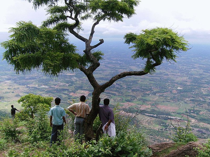 Tamilnadu Tourism: Seetharkundu Viewpoint, Nelliyampathy