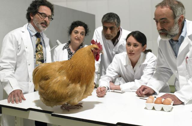 Organismos genéticamente modificados