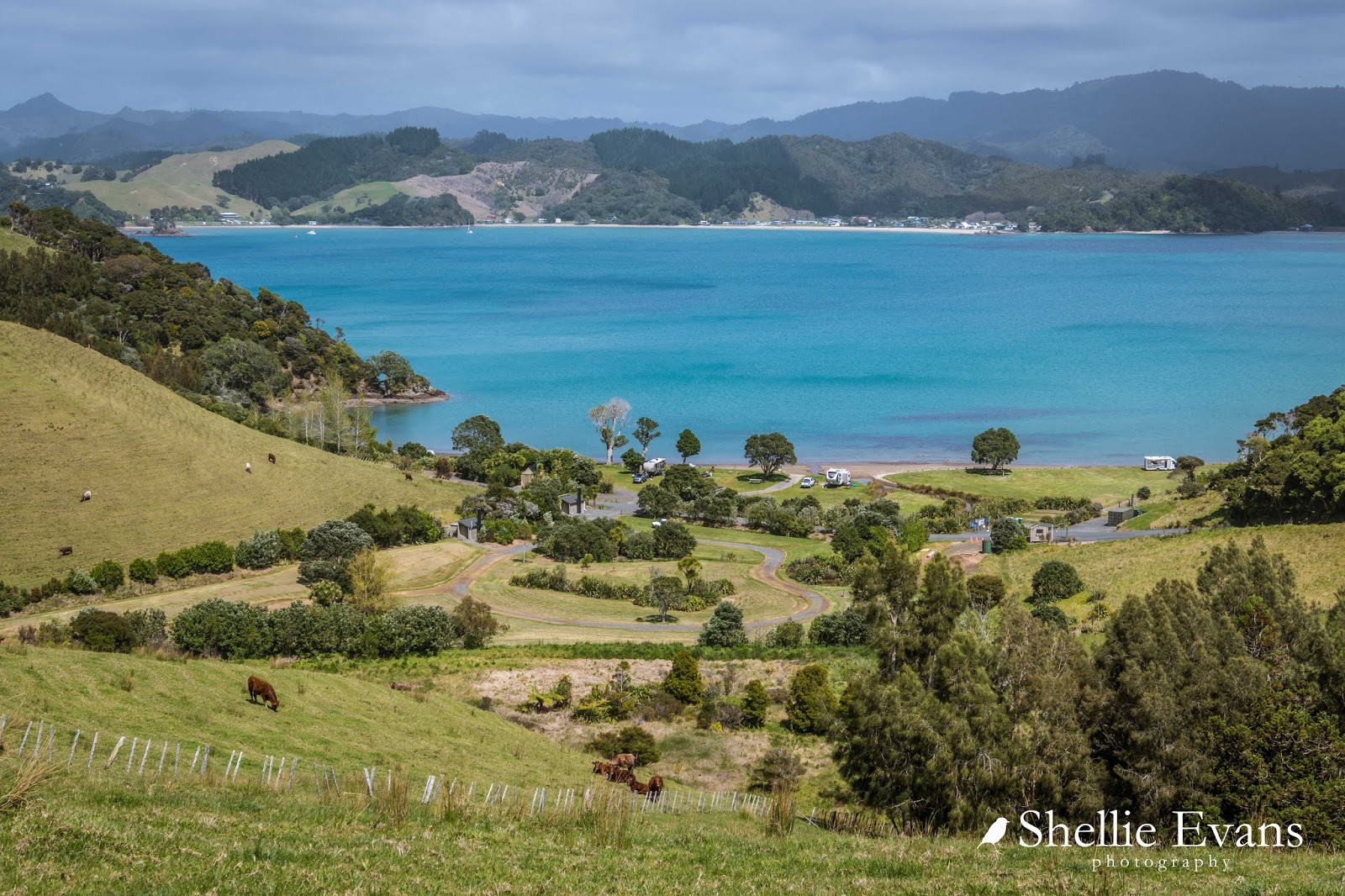 Two Go Tiki Touring: Perfect Puriri Bay- Part 1