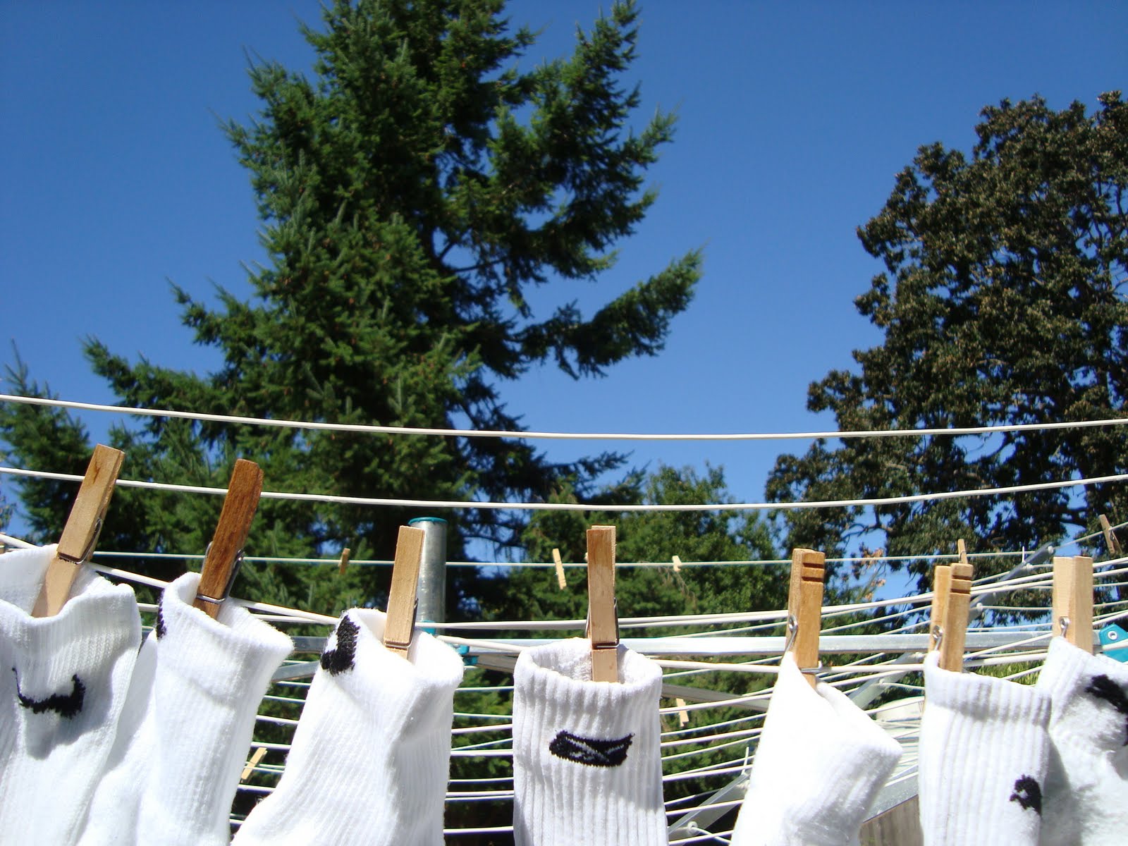 LINDA'S WORLD: The Almighty Clothesline