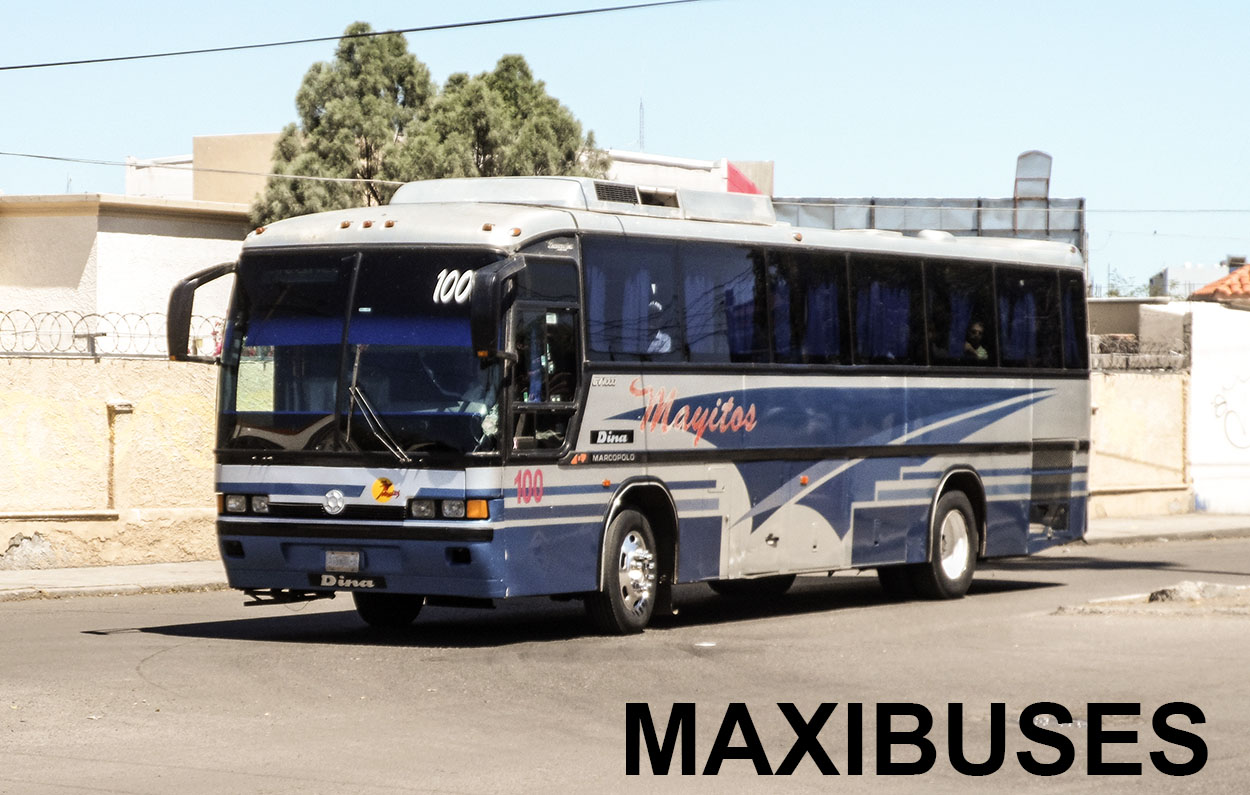 MAXIBUSES: AUTOBUSES LOS MAYITOS
