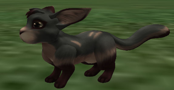 Nile Meeroo - new species is here! | Wilma Philbin's blog