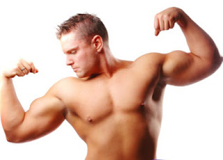 How to build arm muscle - Workouts to Build Muscle
