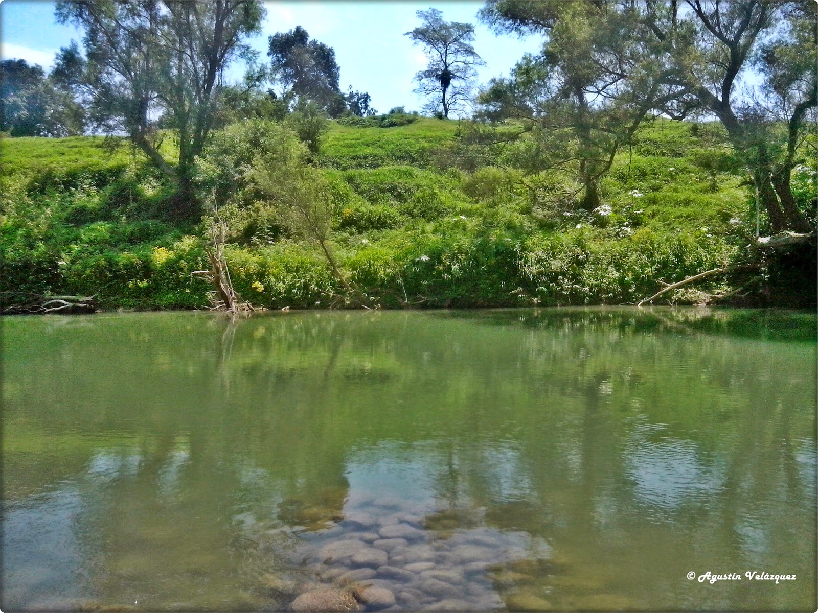 La Web de Tempoal Veracruz: Rio Tempoal en imágenes (Aguacate Terrero)
