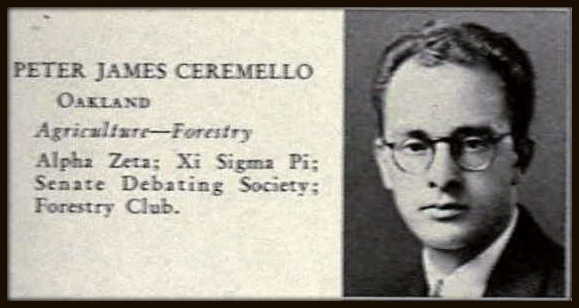 The Eerie Midnight Detective Agency: Lost Actor: What Happened to Peter ...