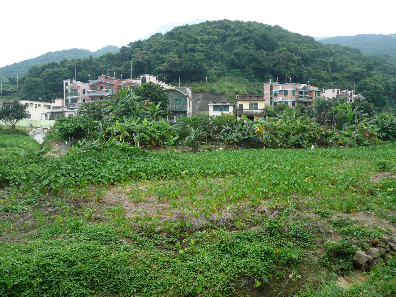 WEBS OF SIGNIFICANCE: From A Po Long downhill and northwards to Tai Ho ...