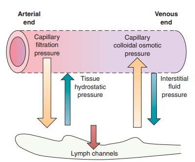 [Haematology] Introduction to Body Fluids | Free Medical Atlas