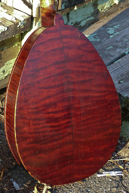 1910s Weymann Mandolute Mandola (Octave Mandolin Conversion)