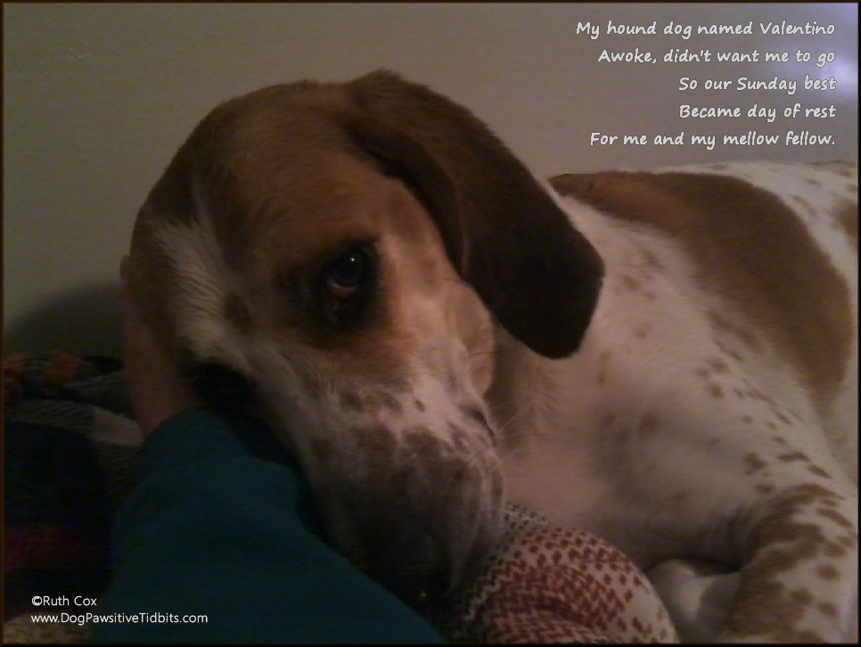 Ruth Cox Poetry and Prose