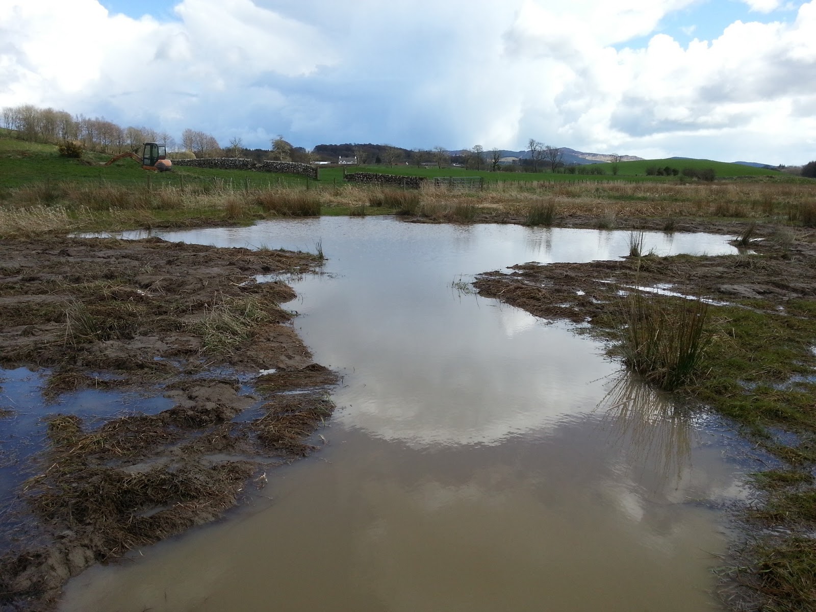 NTS Dumfries and Galloway Countryside Team: Threave wetland ...