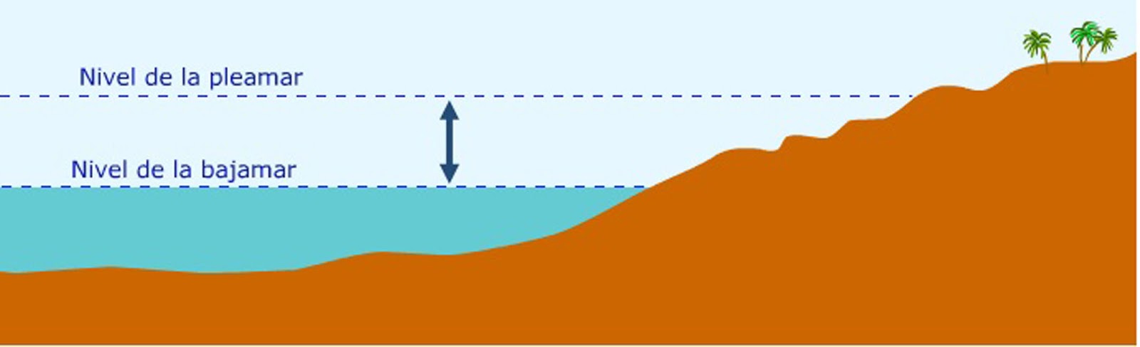 Blog de Sociales del Colegio École: Oleaje y pleamar