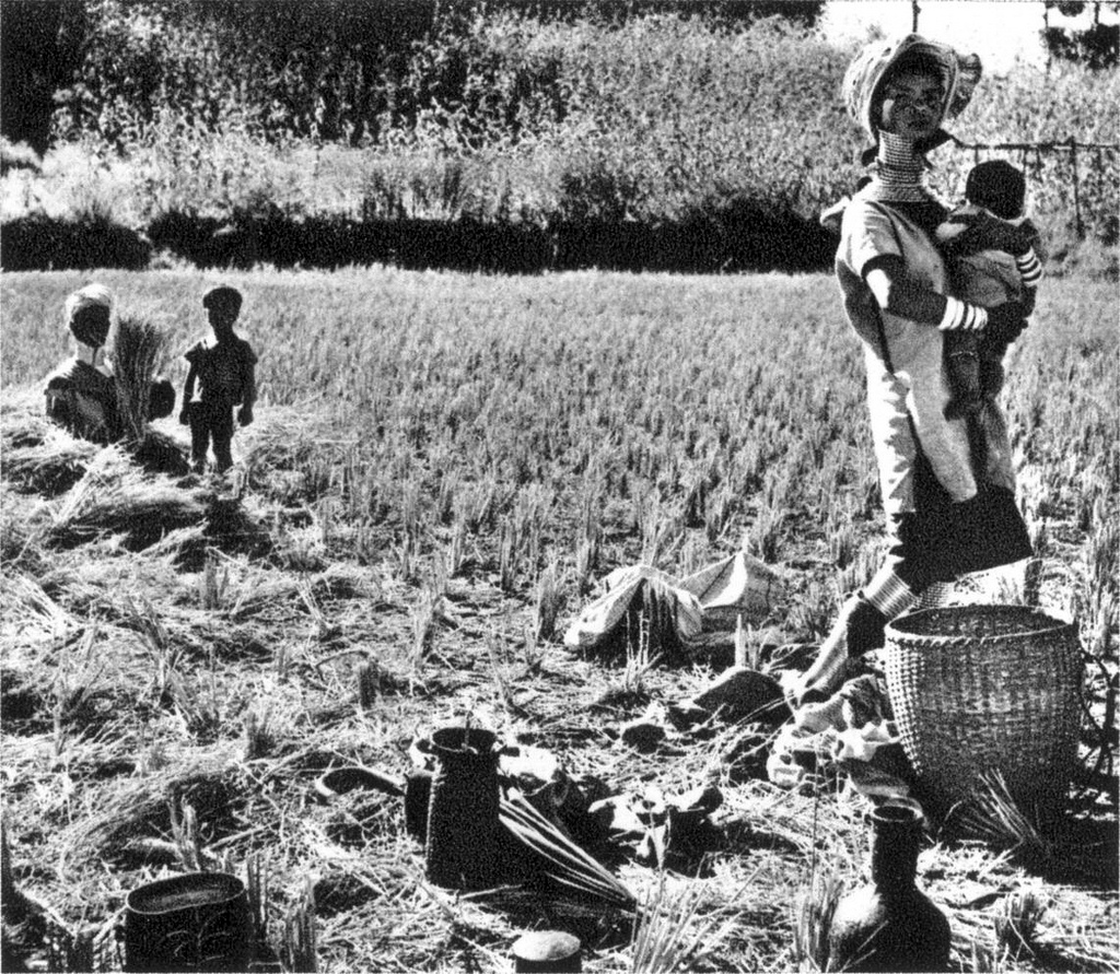 Kayan People: Incredible Vintage Photos of “Giraffe Women” in the 1950s ...