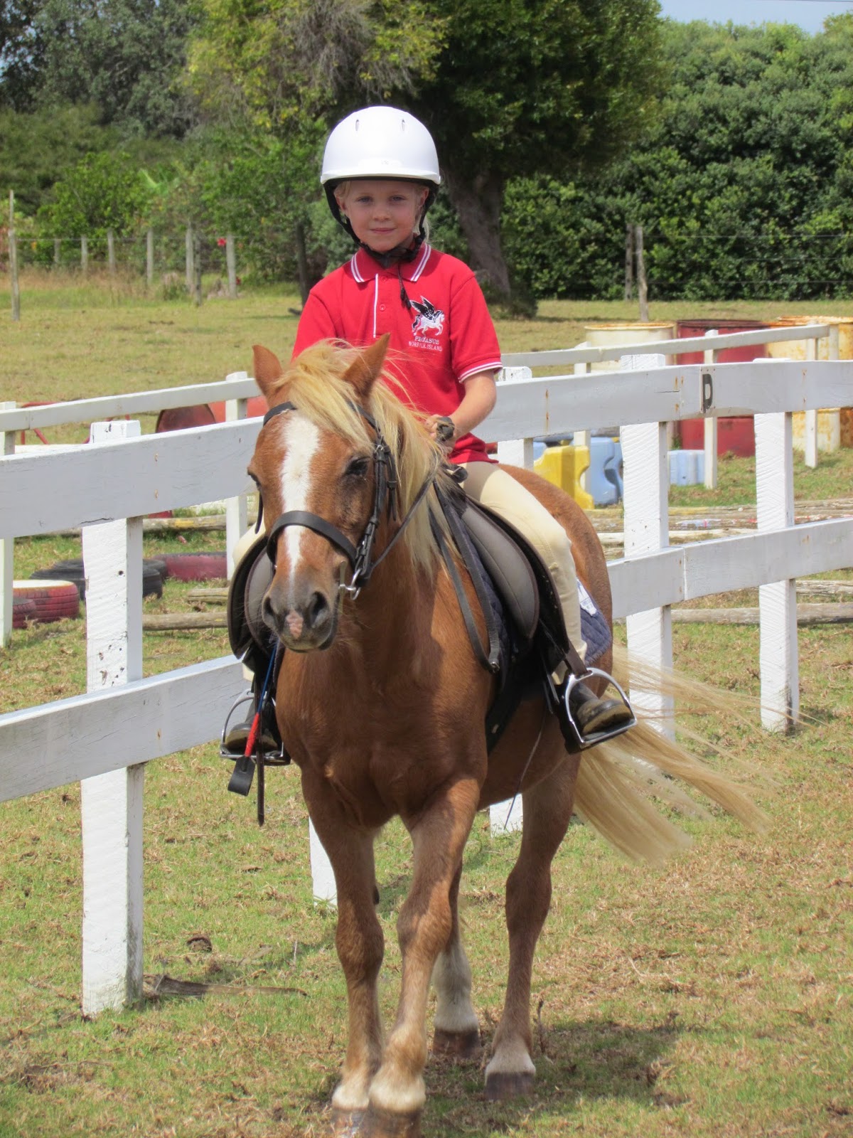 Norfolk Island Pony Club & Equestrian Association: Pony Club Rally Day ...