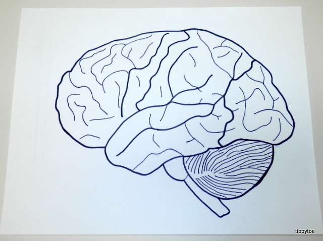 Tippytoe Crafts: Brain Puzzles