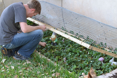 I can totally make that: Strawberry cage