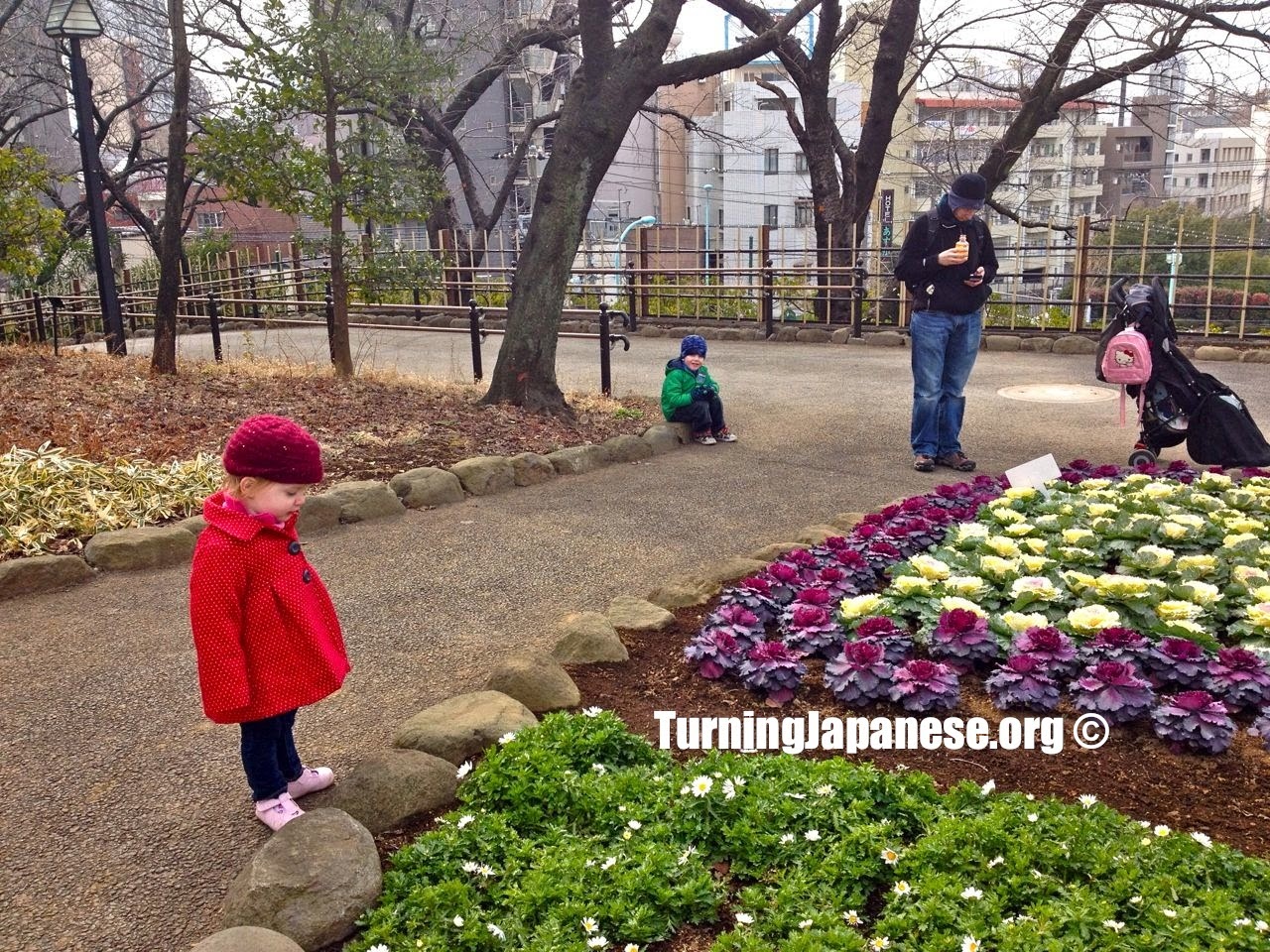 What is the best children's playground in Tokyo? Asukayama Park (near ...