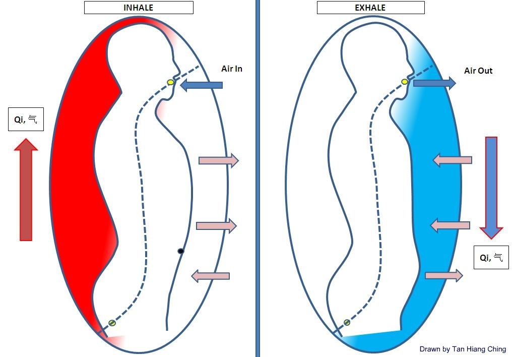 Perceive Believe - The Idiot's Guide to Taoist Alchemy Qigong,...