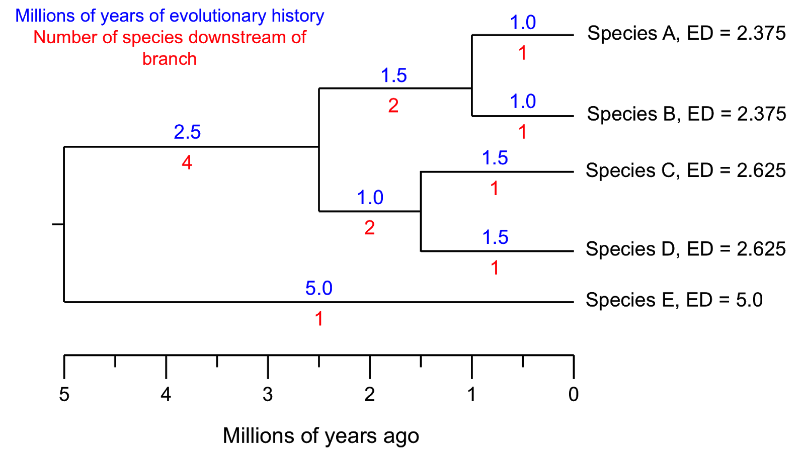 How do we decide which species should be given conservation priority ...