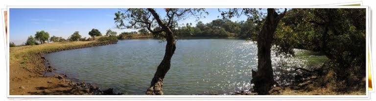 TMI: Night Trek to Anjaneri Fort and visit to Trimbakeshwar Temple on ...