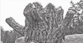 Jewish Marksmanship: Jewish Gunsmith Hyman S. Lebman