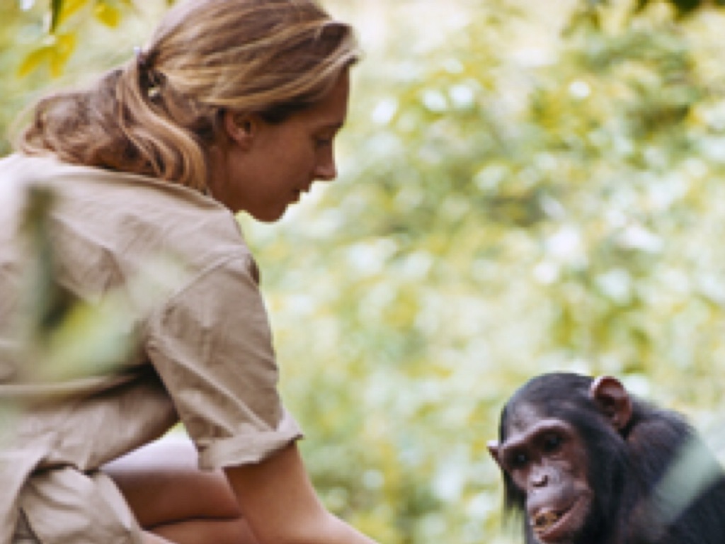 derek bryceson - USA News Collections