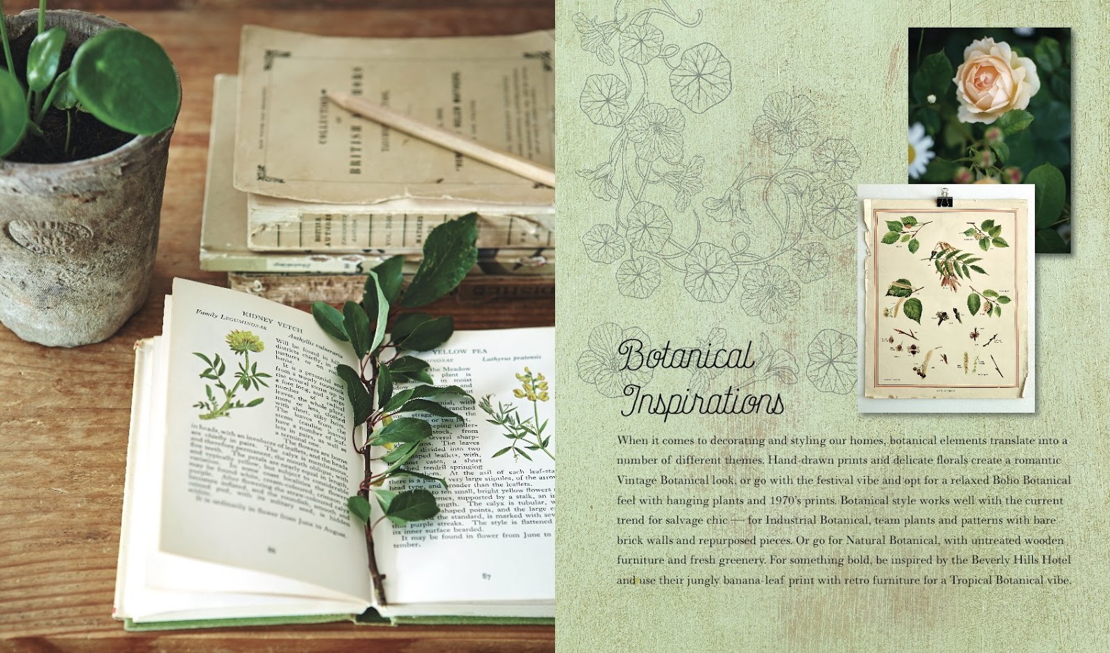 The Charm of Home: Botanical Style by Selina Lake