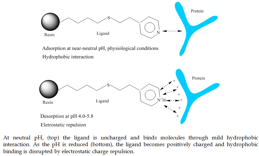 ISOLATION AND PURIFICATION OF SUBSTANCE