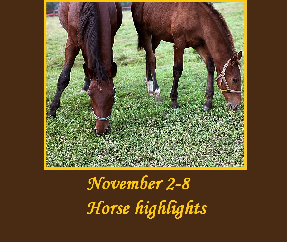 Mane Dates: Horsing Around in the Upper Midwest: November 2-8, 2015 ...