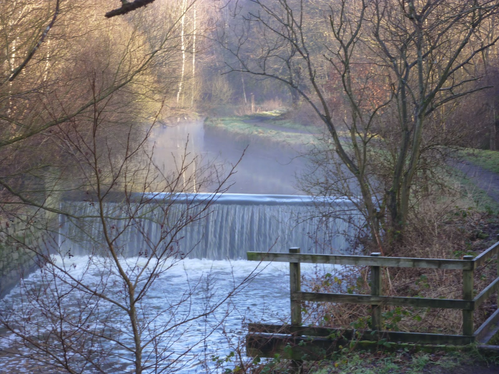 RAMBLER: Sunday Walk - Alkrington Woods