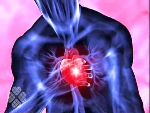 Fallo cardíaco ¿Se ha detenido el corazón?