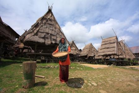 Suku Bima (Dou Mbojo) - Suku Mbojo Bima